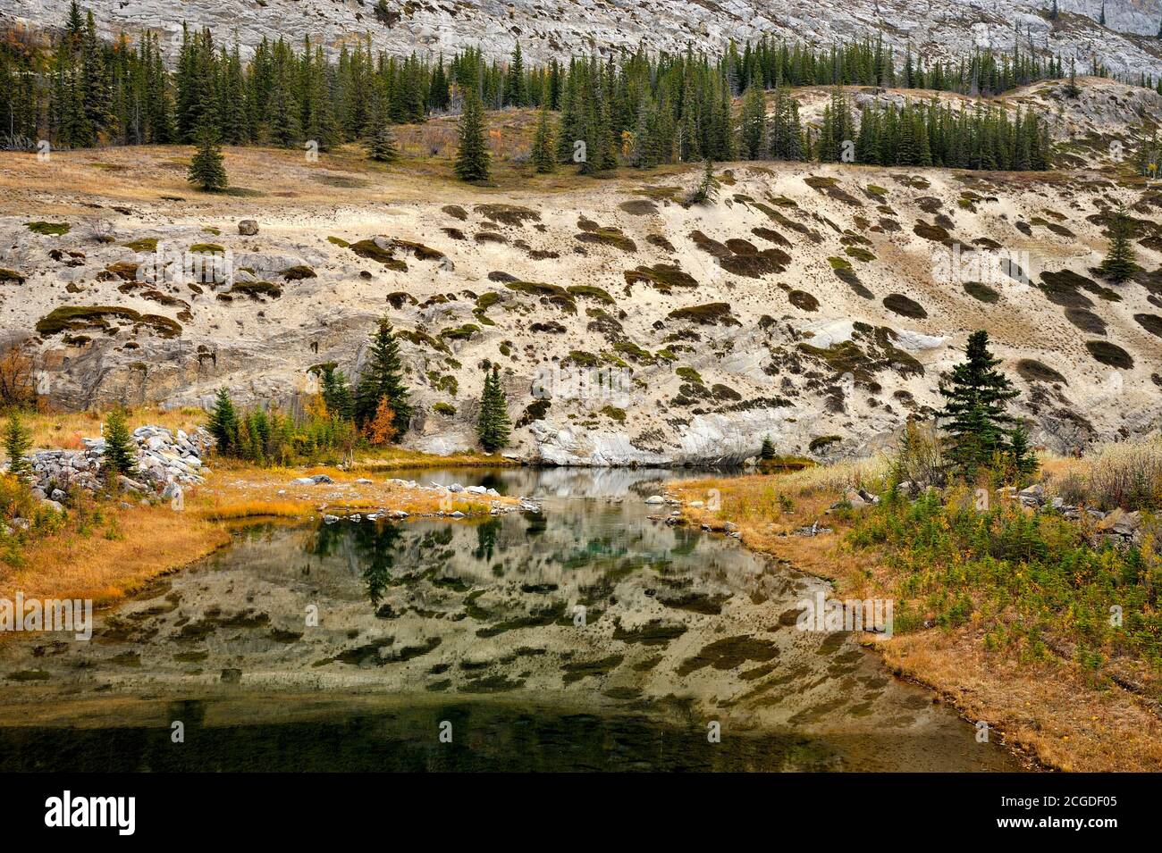 A landscape image of a slow moving stream at the foot of a mountain ...