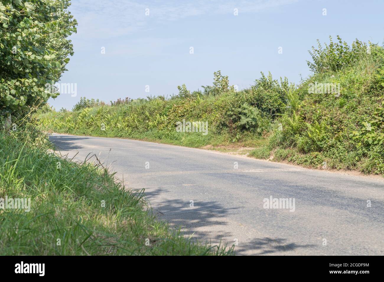 High banked cornwall roads hi-res stock photography and images - Alamy