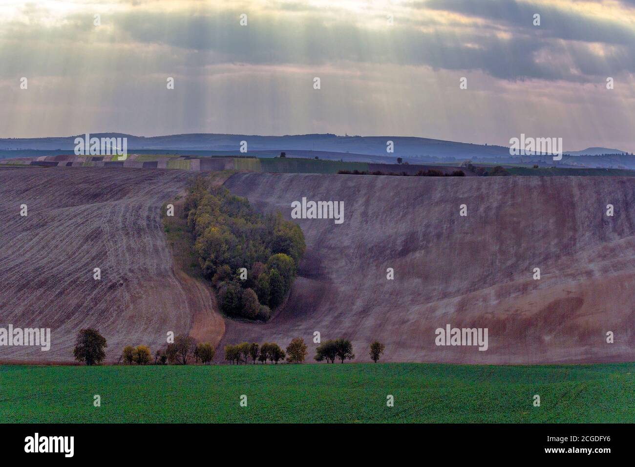 Moravske slovacko hi-res stock photography and images - Alamy
