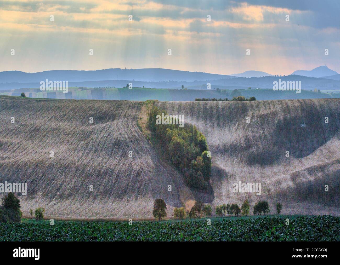 Moravske slovacko hi-res stock photography and images - Alamy