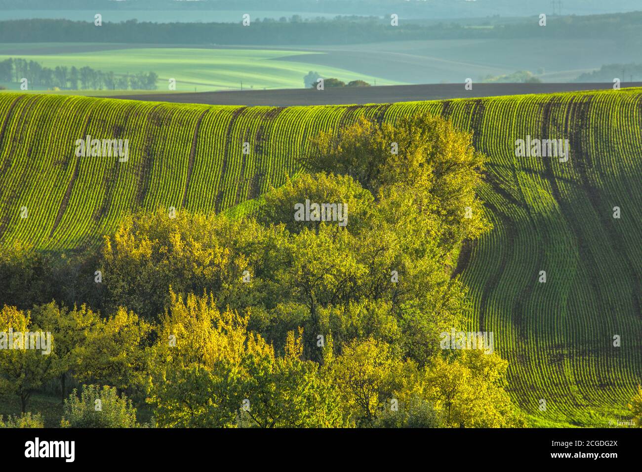 Moravske slovacko hi-res stock photography and images - Alamy