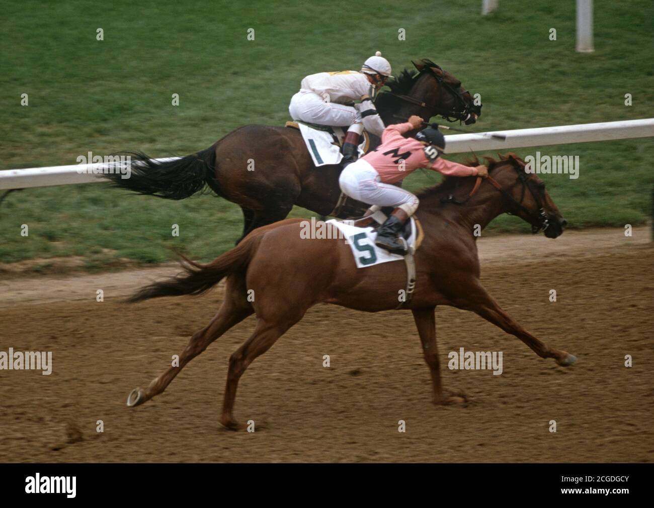 Horse racing 80s hi-res stock photography and images - Alamy