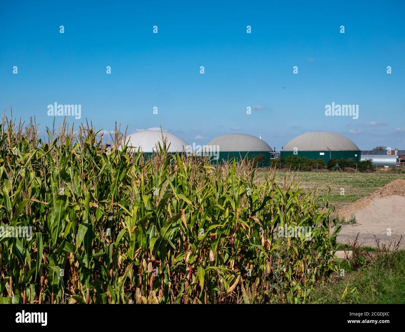 Biogas plant with corn field in summer Stock Photo - Alamy