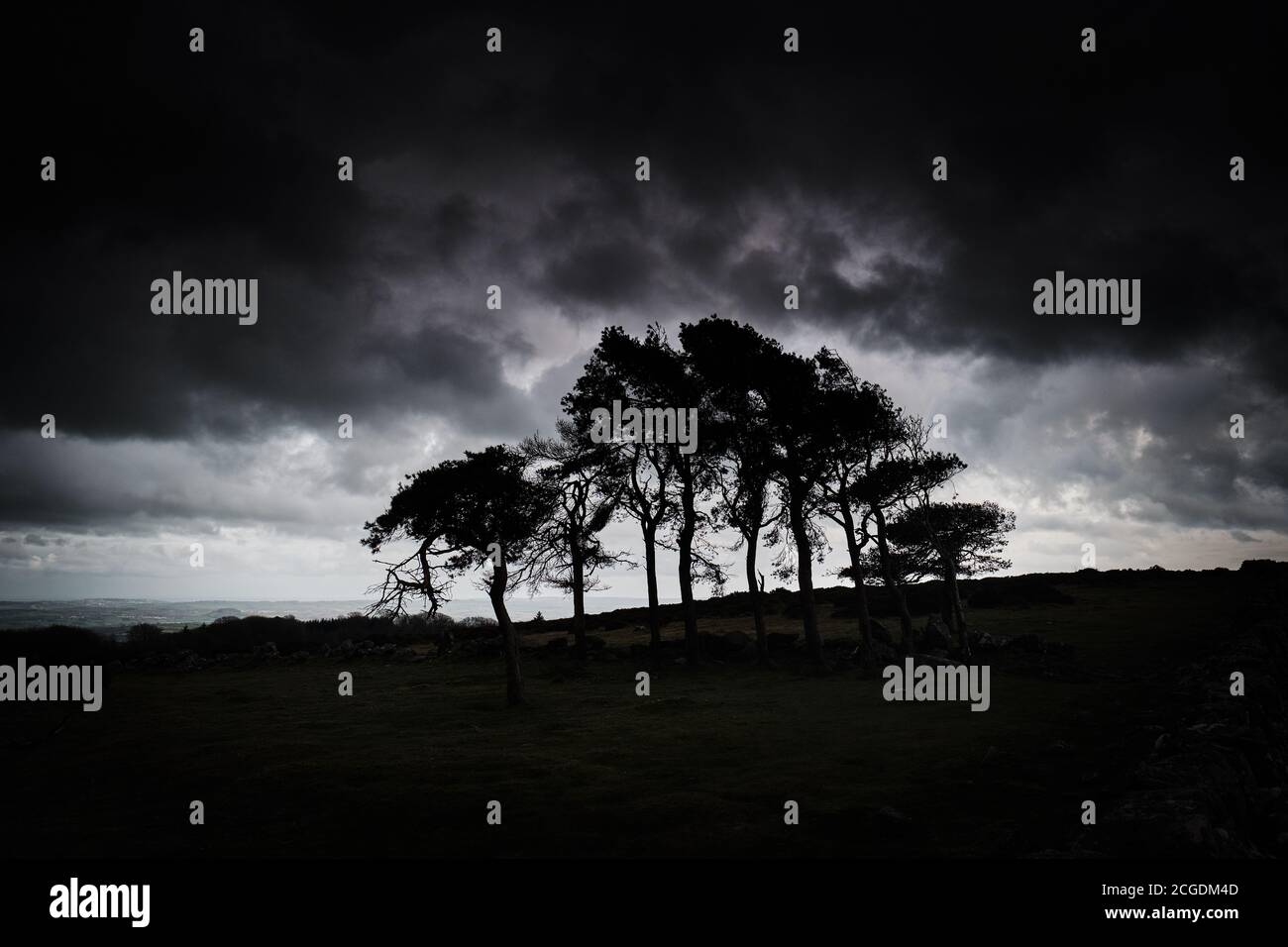 Wide shot photos hi-res stock photography and images - Alamy