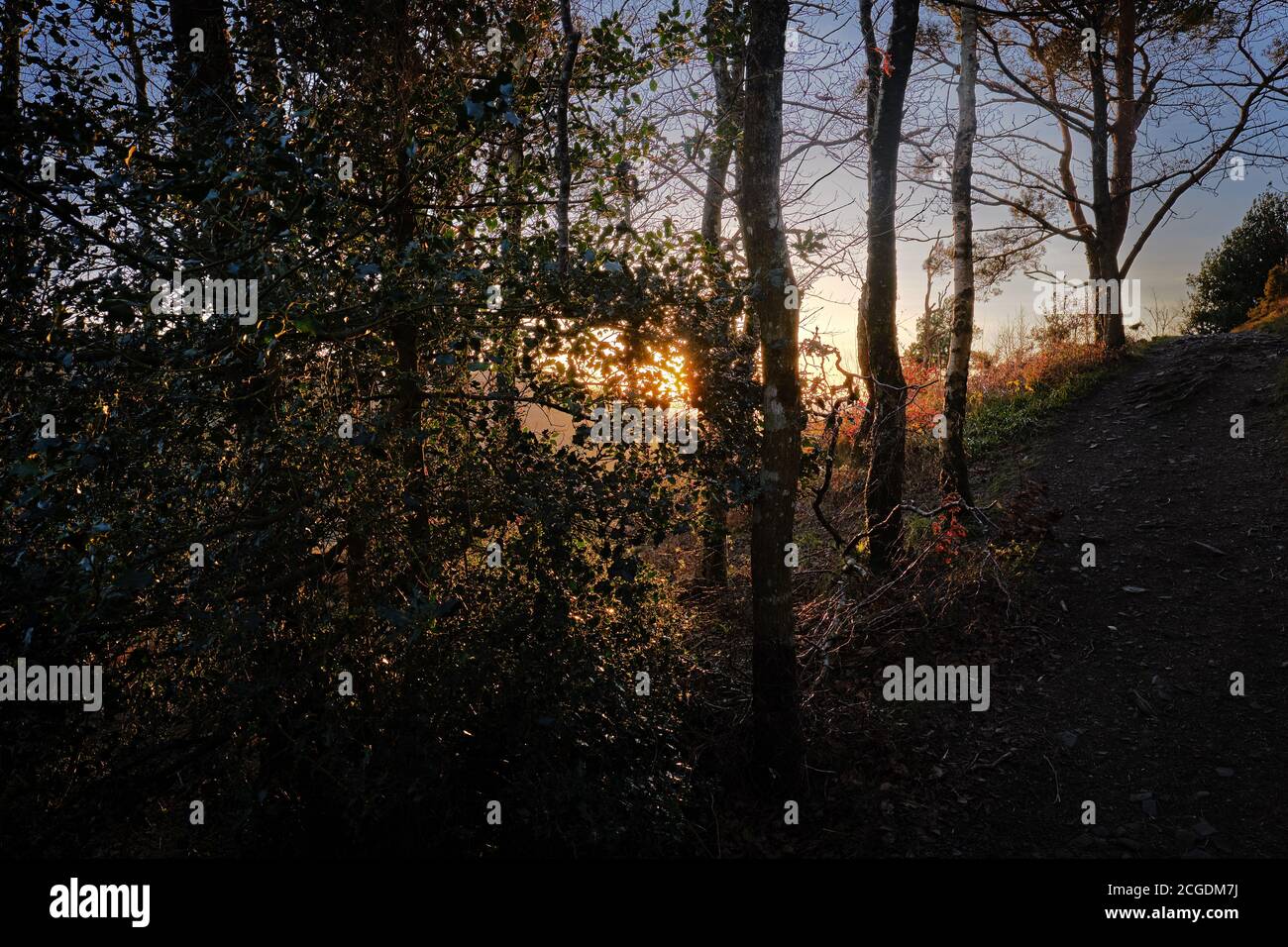 Wide shot photos hi-res stock photography and images - Alamy