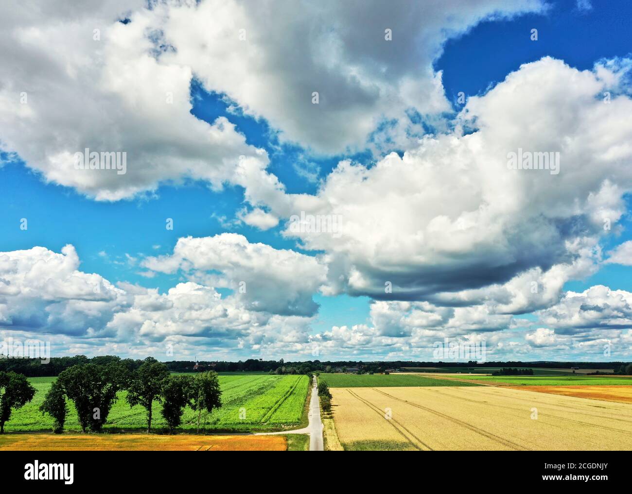 Fields, meadows, trees and a country lane in the lowlands of northern ...
