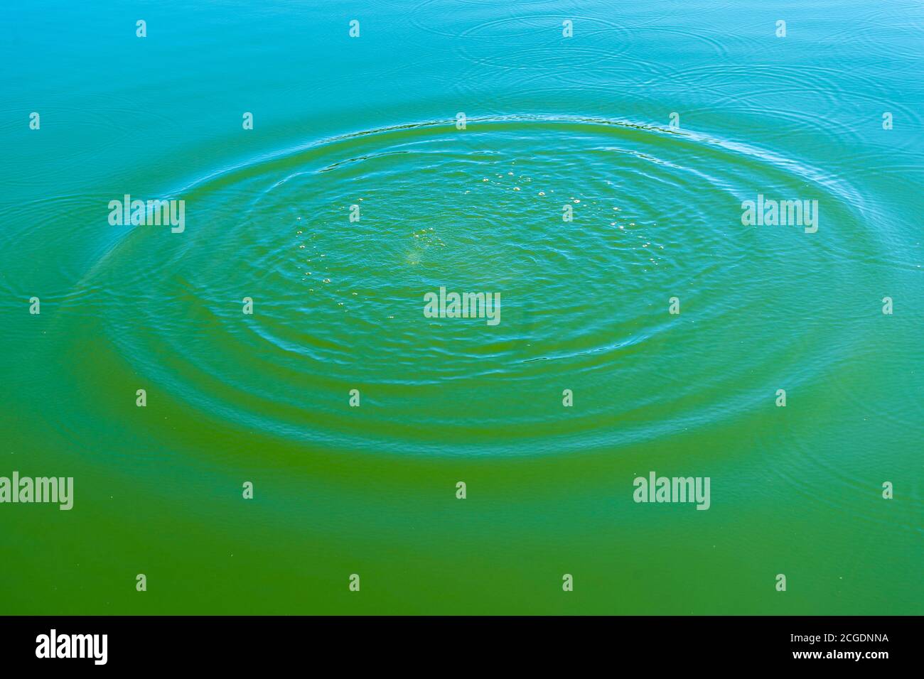 Expansion waves in the water caused by throwing a stone. Motion concept ...