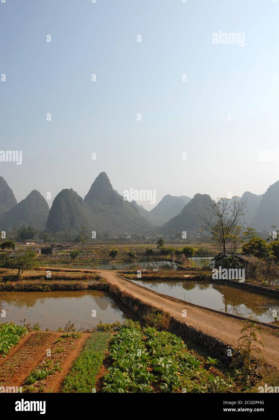 Guilin agriculture hi-res stock photography and images - Alamy