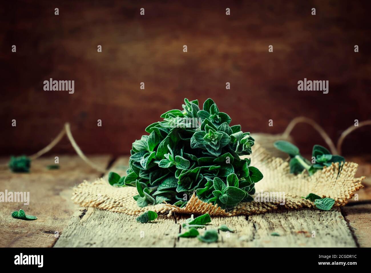 Fresh green oregano or Origanum vulgare in a beam, vintage wood ...