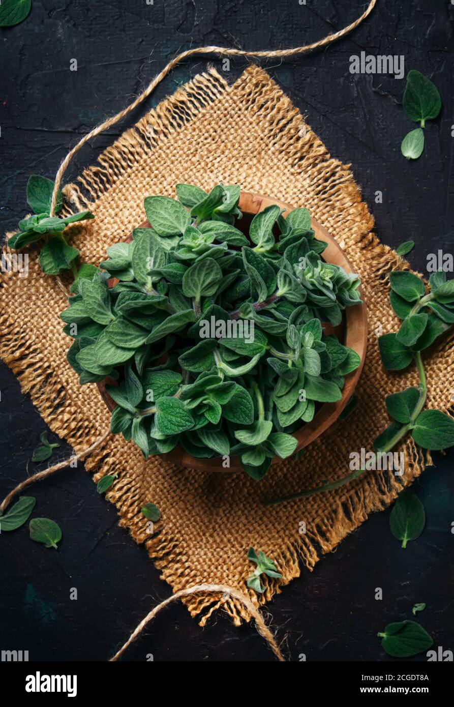 Fresh green oregano or Origanum vulgare in a beam, brown background ...