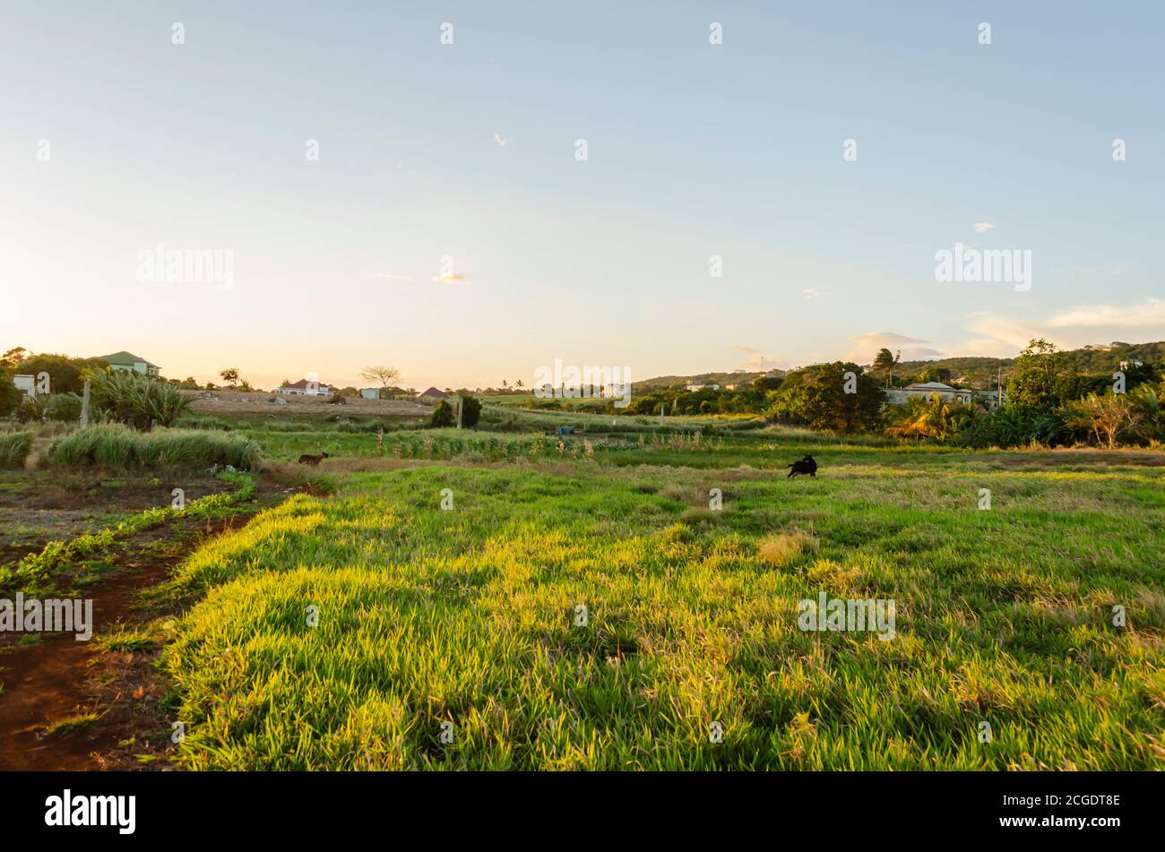 Flat landscape wallpaper hi-res stock photography and images - Alamy