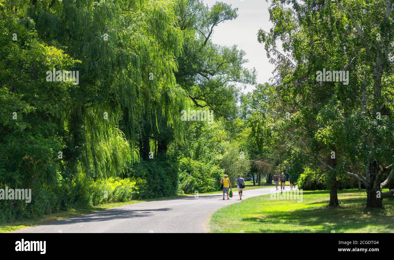 Toronto Island Park ON Alberta Stock Photo - Alamy
