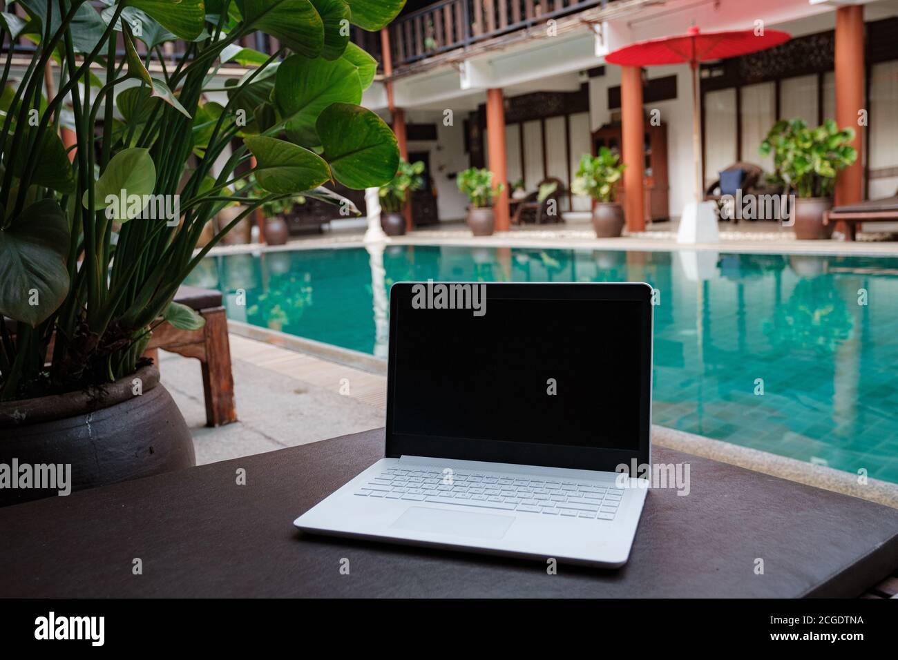 White laptop on the background of the swiming pool. Conceptual ...