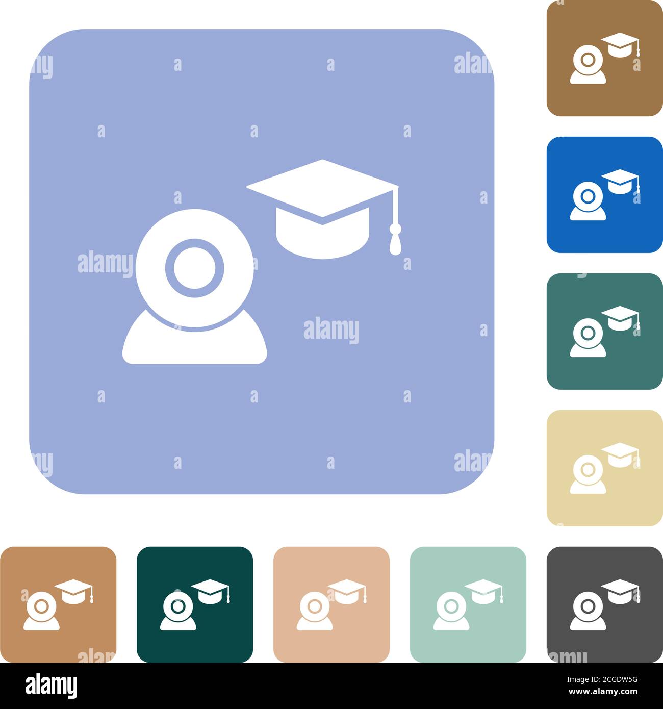 Distance learning white flat icons on color rounded square backgrounds ...