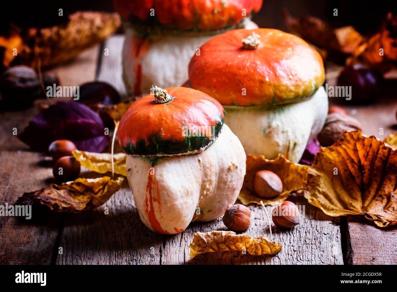 Autumn concept. Decorative pumpkin mushrooms on a vintage wooden ...
