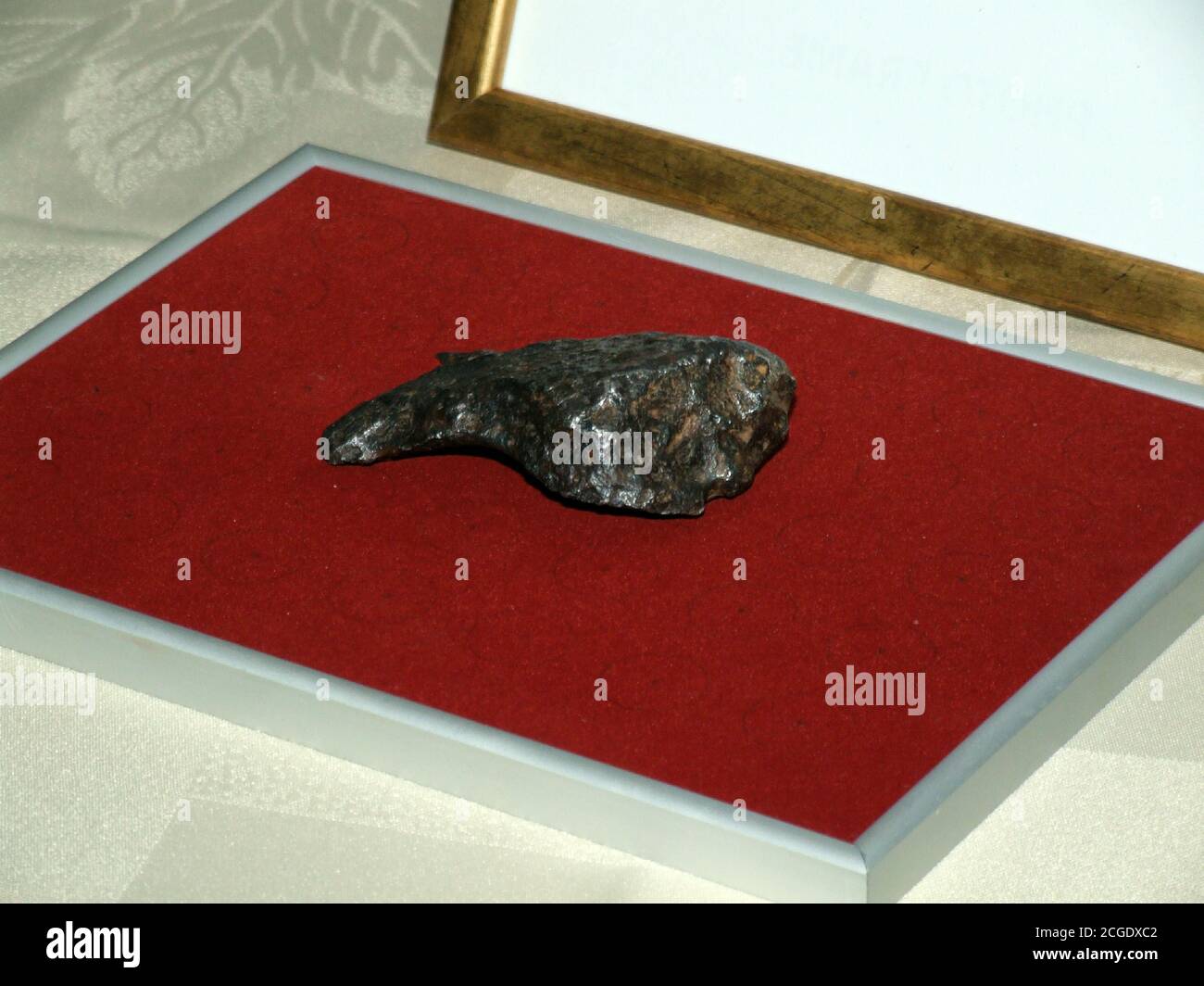An iron meteorite that came to Earth from Space. A scientific ...