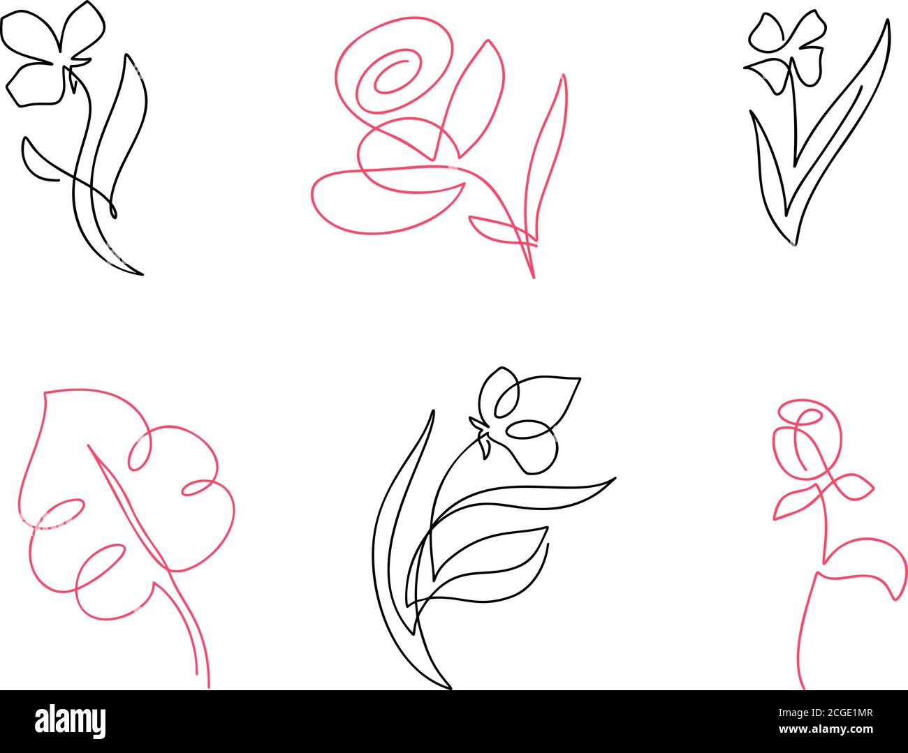 Contour drawing hi-res stock photography and images - Alamy