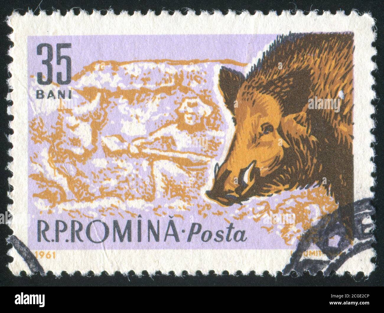 ROMANIA - CIRCA 1961: stamp printed by Romania, show Boar, Roman hunter ...