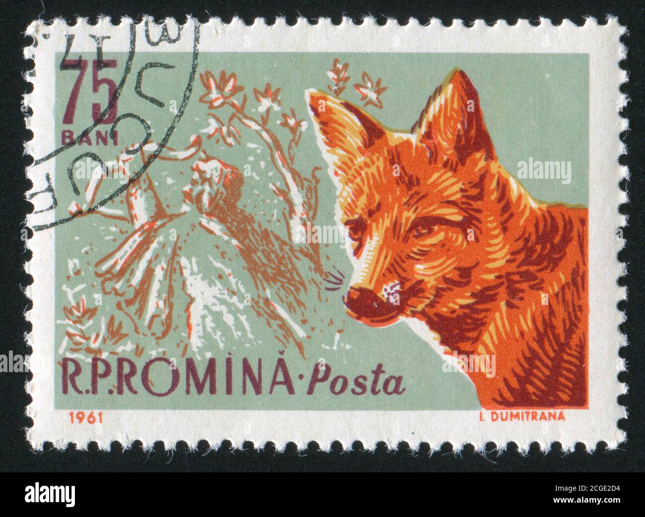ROMANIA - CIRCA 1961: stamp printed by Romania, show Red fox, feudal ...