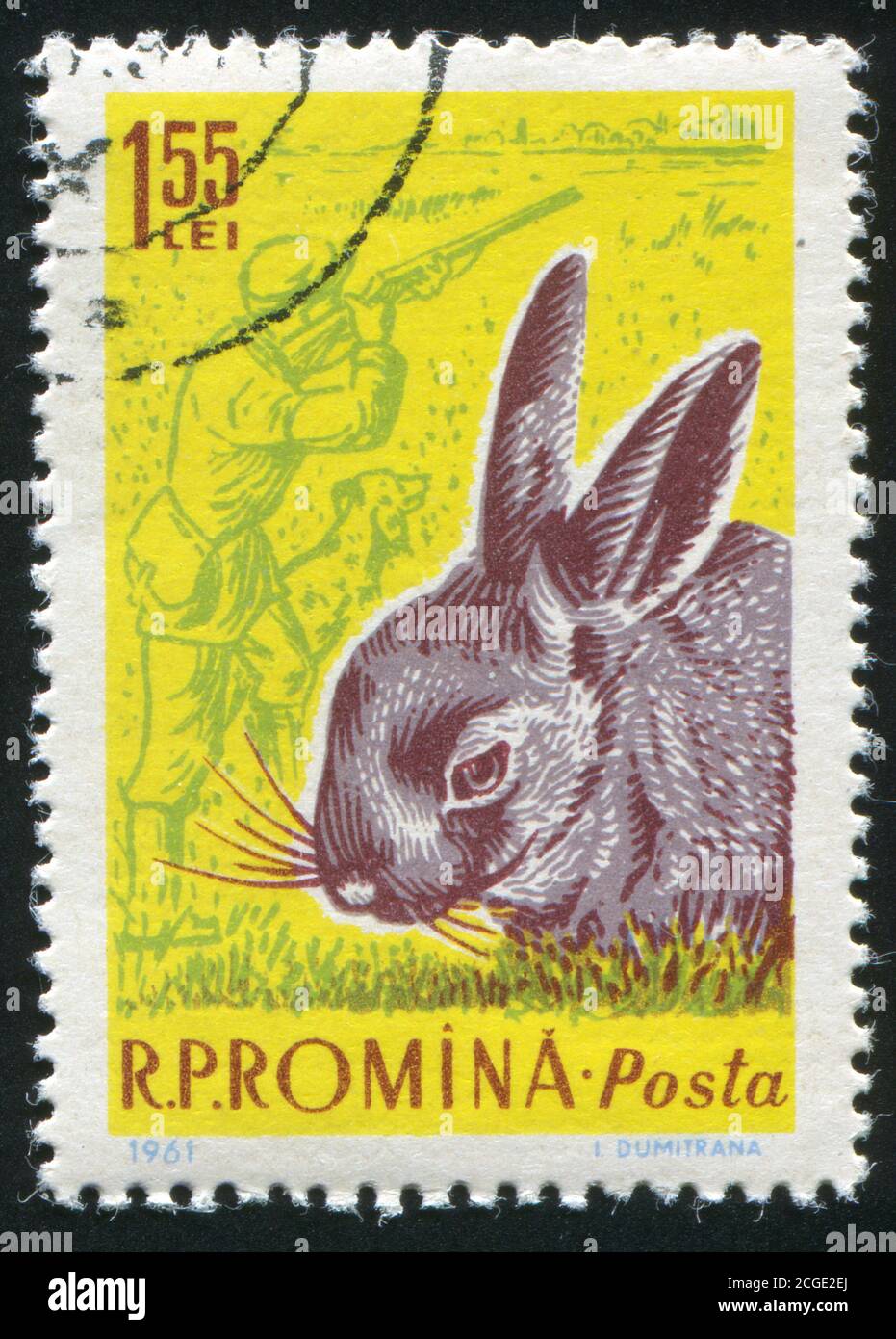 ROMANIA - CIRCA 1961: stamp printed by Romania, show rabbit, circa 1961 ...