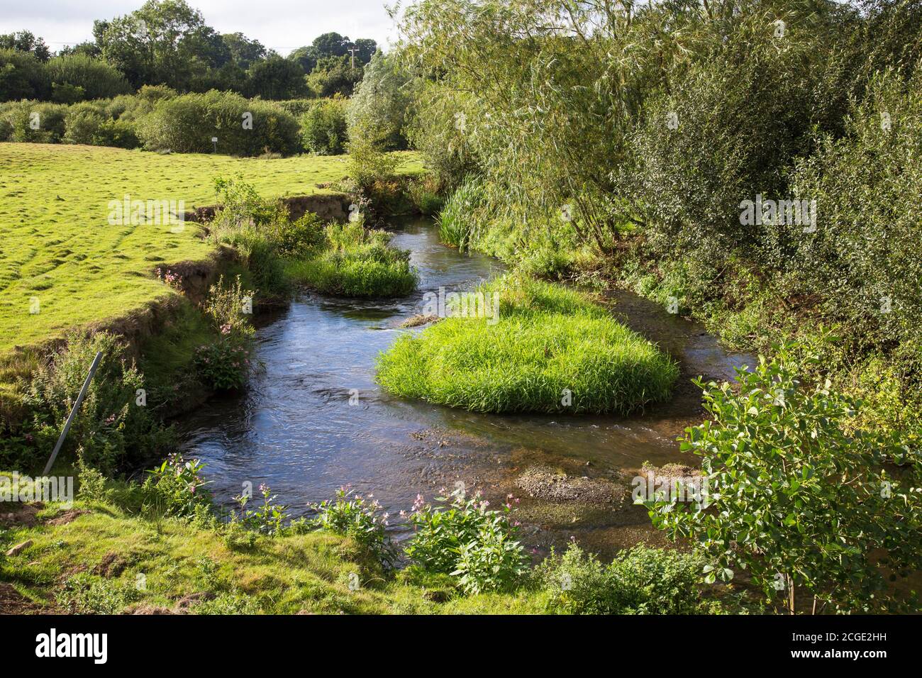 River Axe near Forde Abbey, Dorset Stock Photo - Alamy