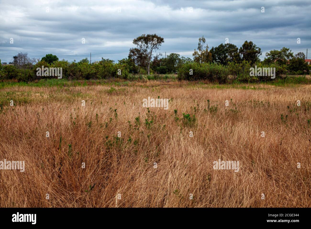 Wetlands marsh hi-res stock photography and images - Alamy