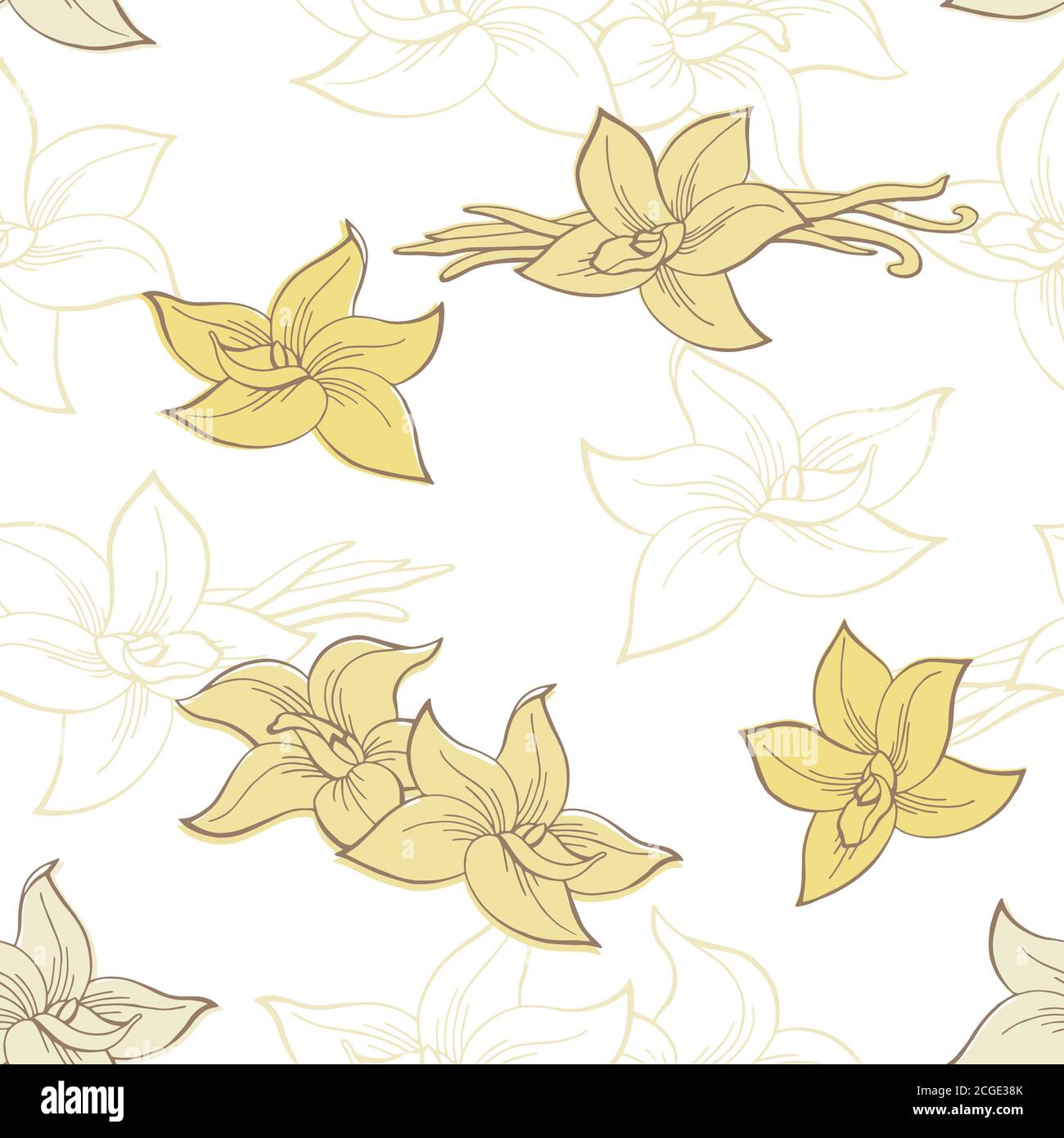 Vanilla pod flower graphic color seamless pattern illustration vector ...
