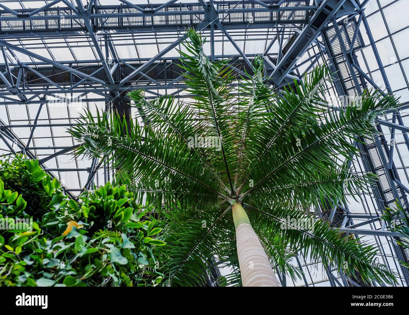 Vintage greenhouse hi-res stock photography and images - Alamy