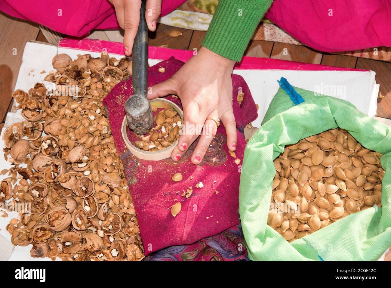 Elevated close-up view of a young woman cracking walnuts at home with a ...