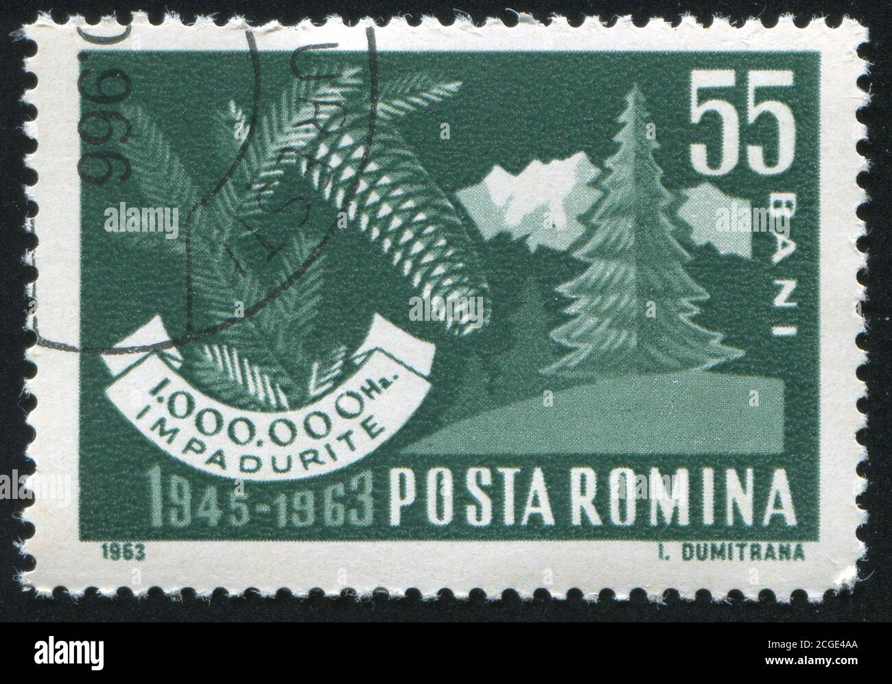 ROMANIA - CIRCA 1963: stamp printed by Romania, shows Pine Tree, Branch ...