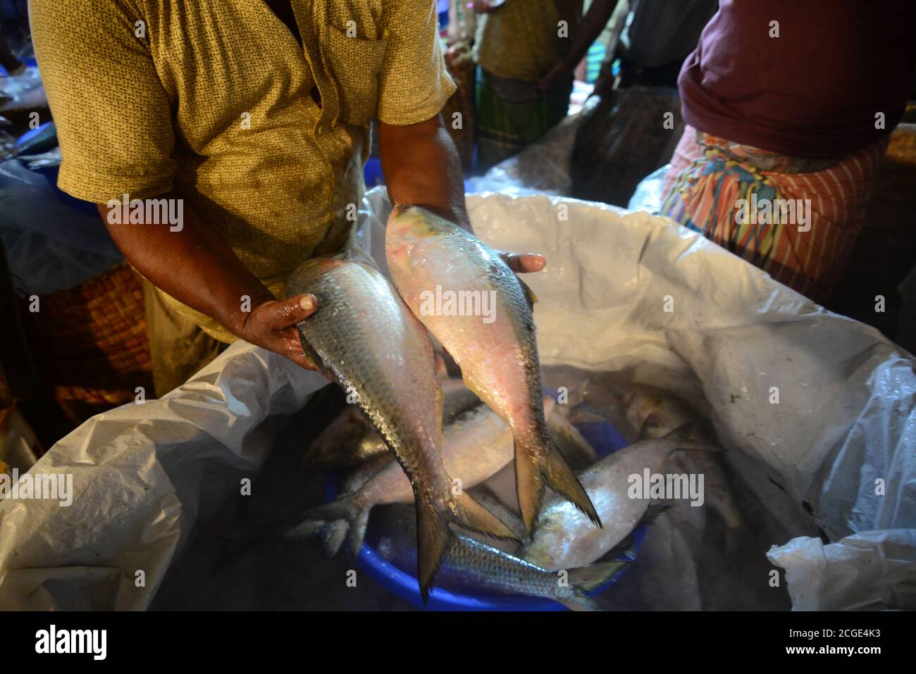 Fish market in dhaka bangladesh hi-res stock photography and images - Alamy