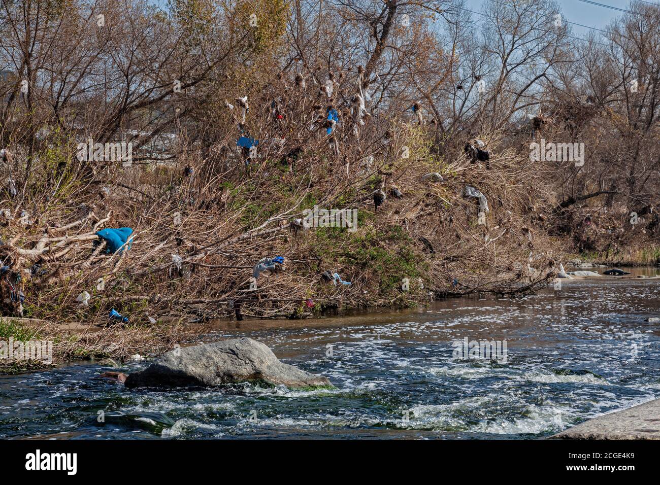 Plastic bags caught in a tree hi-res stock photography and images - Alamy