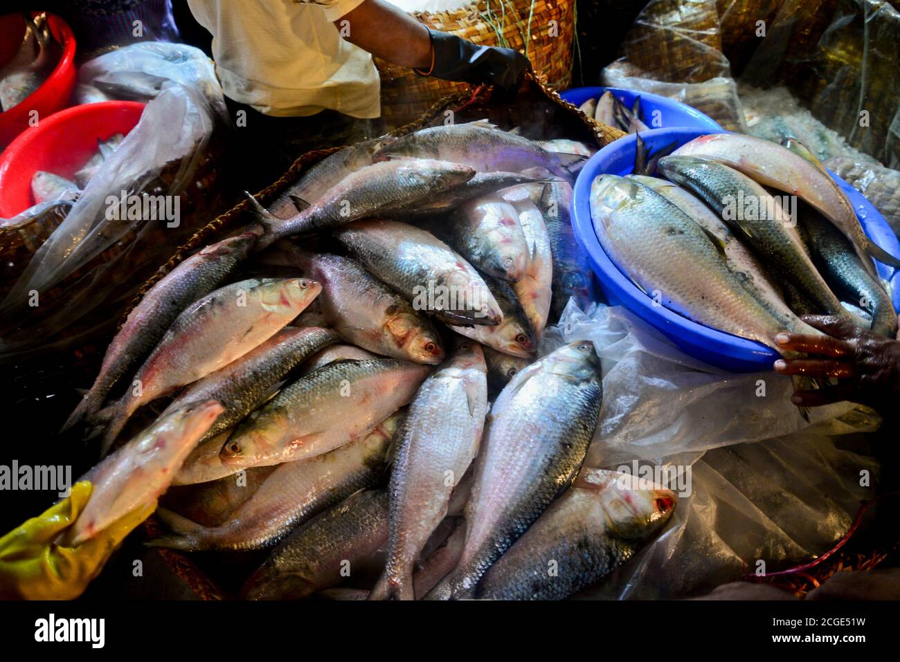 Fish market in dhaka bangladesh hi-res stock photography and images - Alamy