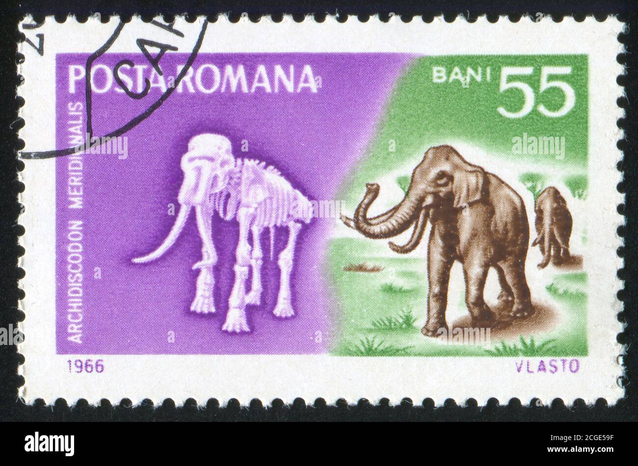 ROMANIA - CIRCA 1966: stamp printed by Romania, shows Cave elephant ...