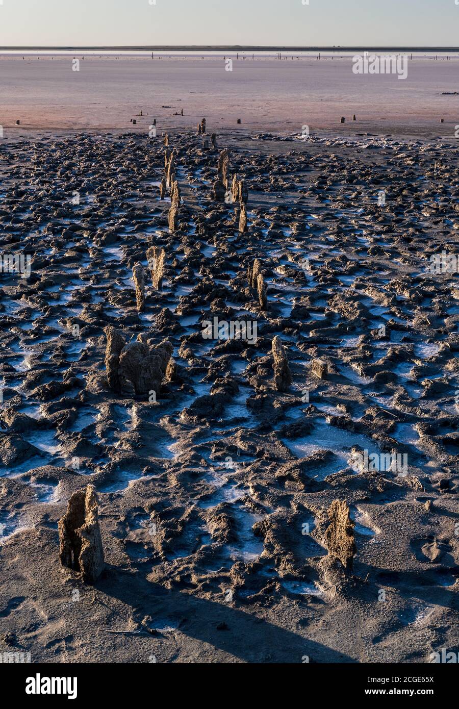 Dirty path thrue swamp to sunset Genichesk pink extremely salty lake ...