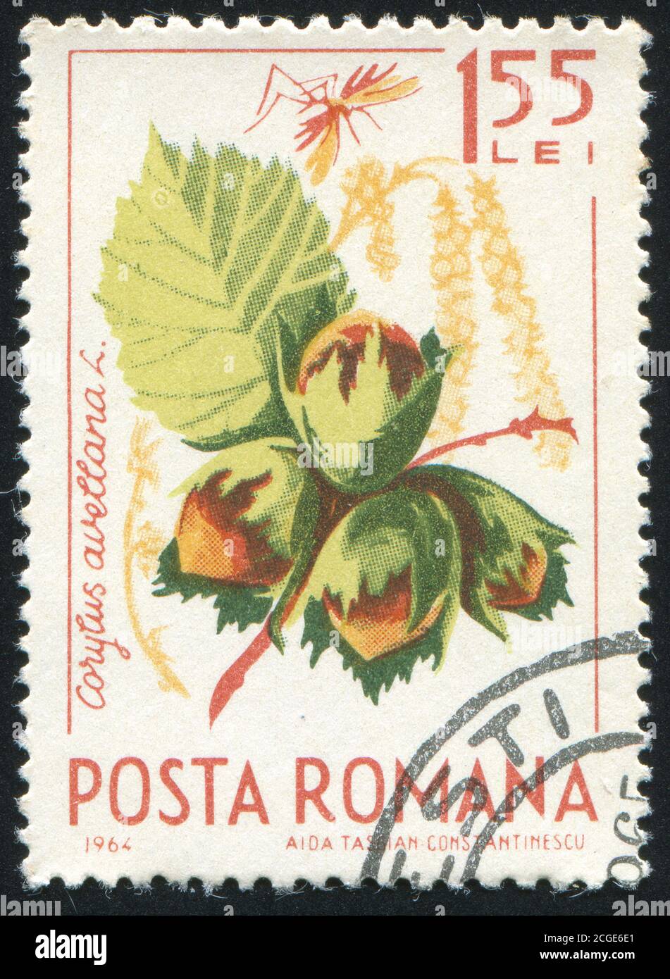 ROMANIA - CIRCA 1964: stamp printed by Romania, shows Hazelnuts, circa ...