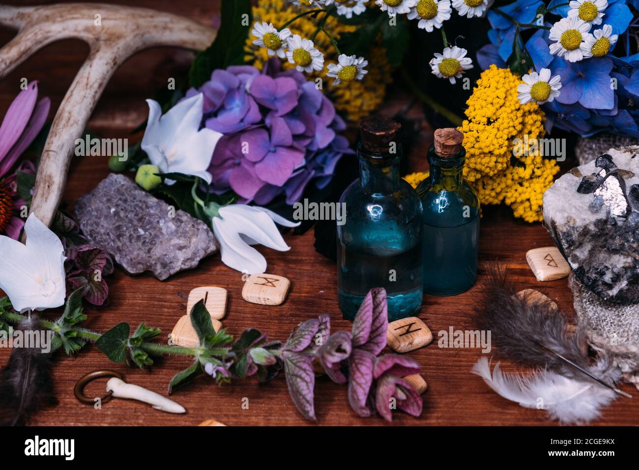 Magic potion bottle. Witchcraft halloween concept with potions, herbs ...