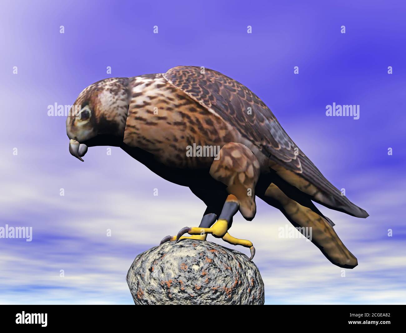 bird of pray Stock Photo - Alamy