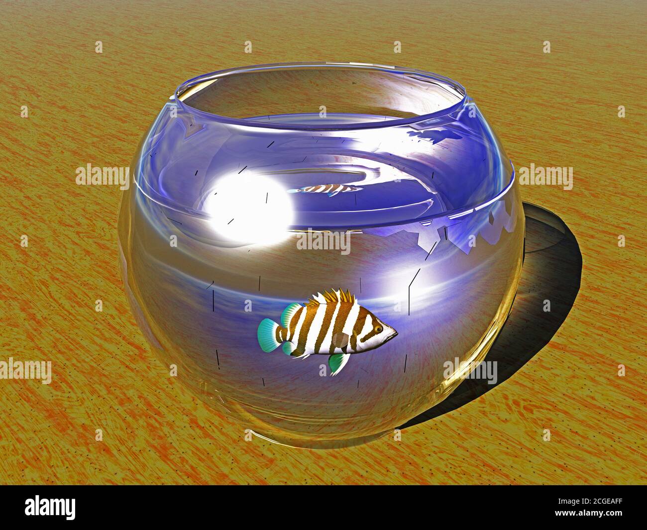Round bowl with fish Stock Photo - Alamy