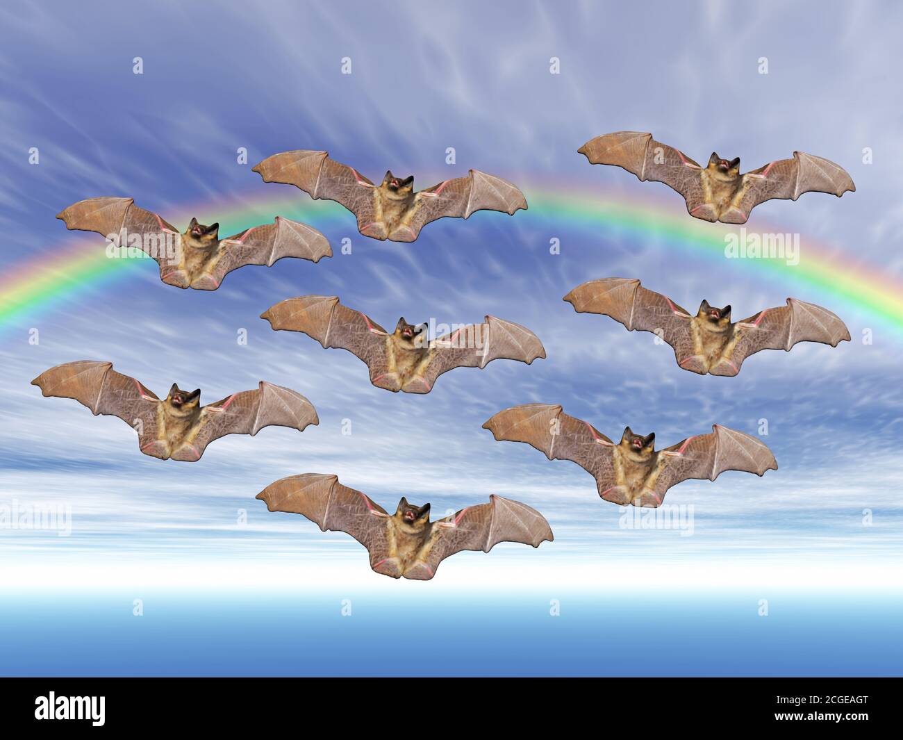 Bat in the air Stock Photo - Alamy