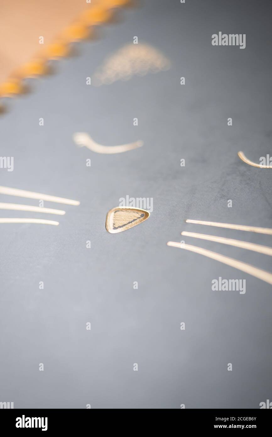 Cat photo for book cover hi-res stock photography and images - Alamy