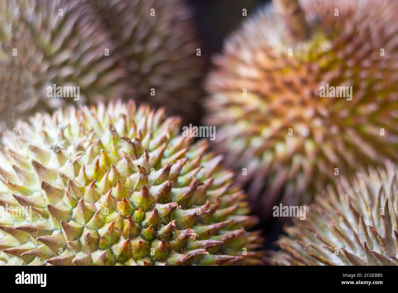 Native durians at a market stall in Zamboanga City Stock Photo - Alamy