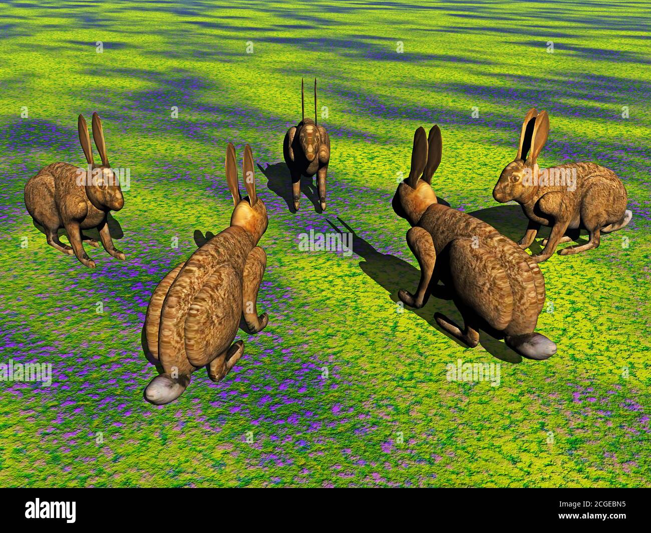 rabbit in the field Stock Photo - Alamy