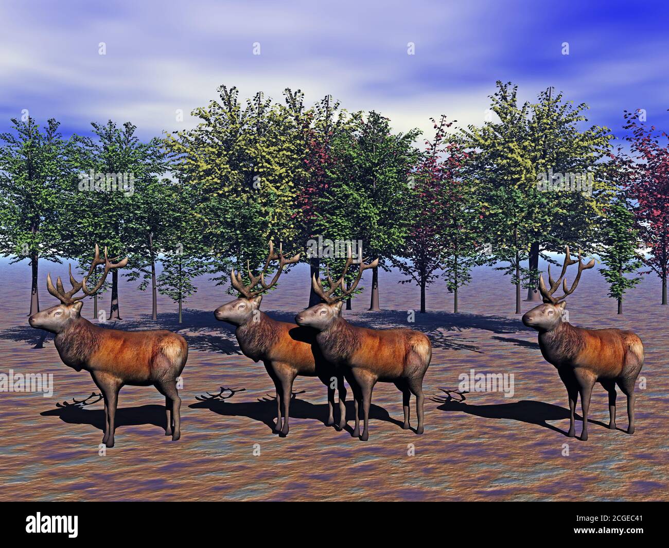 Ruminant in the Forest Stock Photo - Alamy