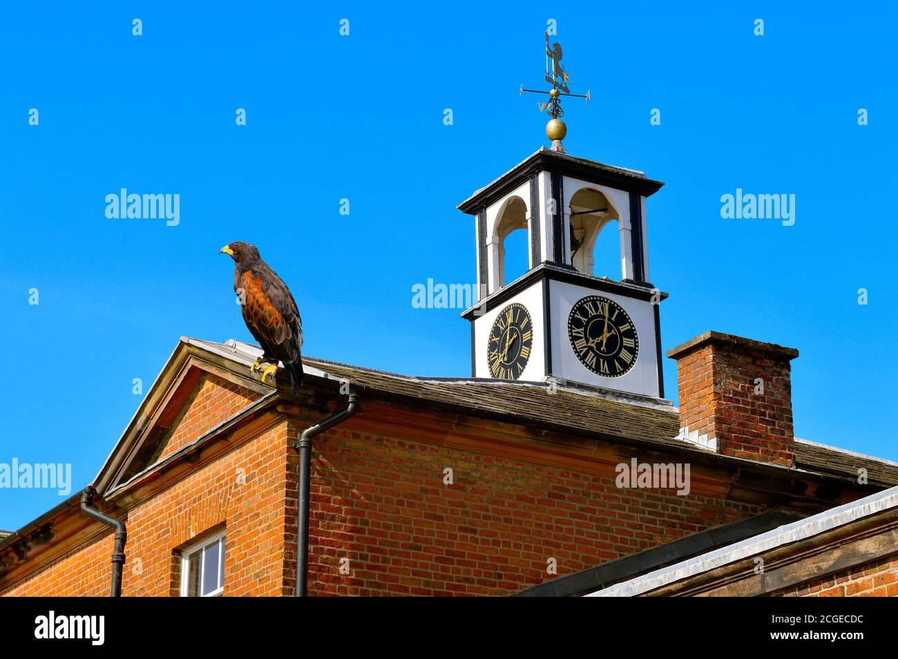 Tatton hall hi-res stock photography and images - Alamy