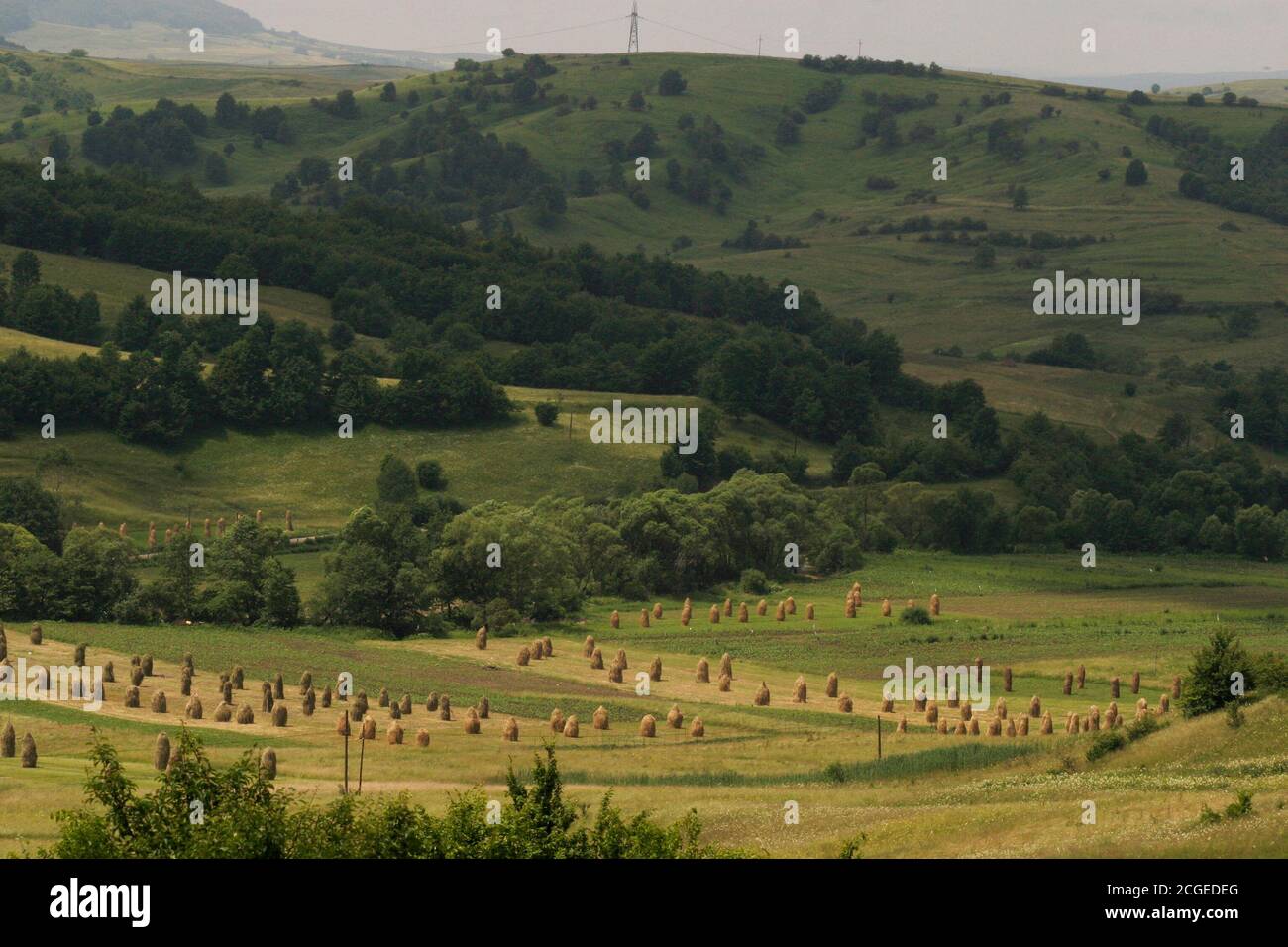 Summer landscape in Maramures, Romania. Traditional haystacks in a ...