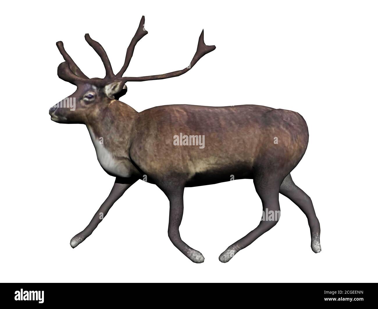 Eskimo and reindeer hi-res stock photography and images - Alamy