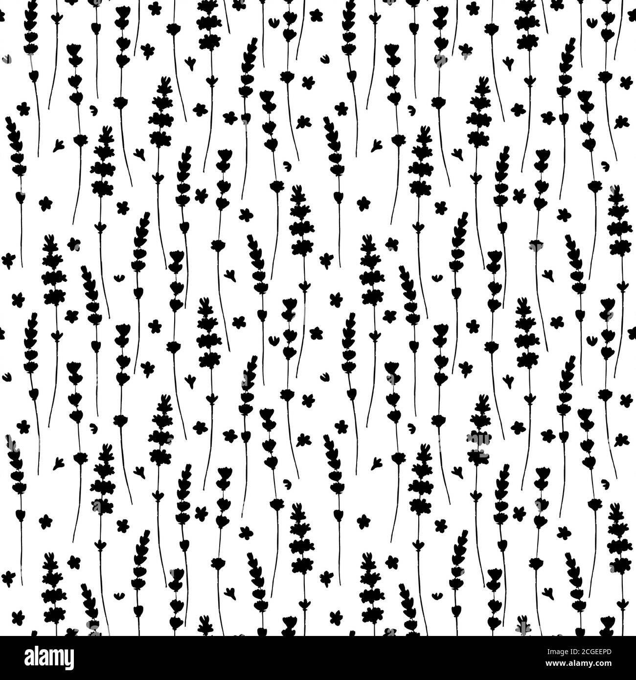 Black And White Flowers With Color Wallpaper