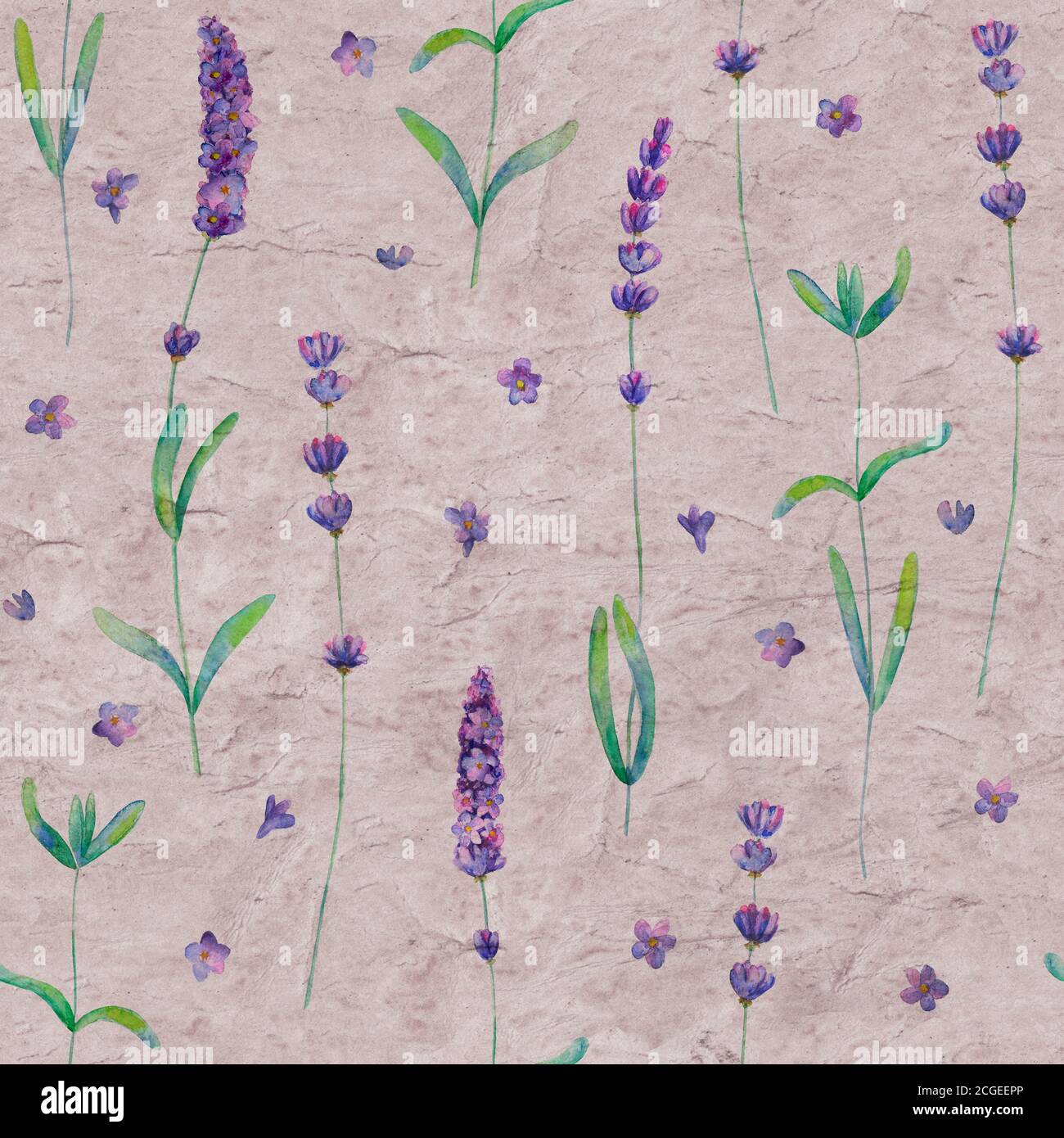 Lavender Color Flower Wallpaper