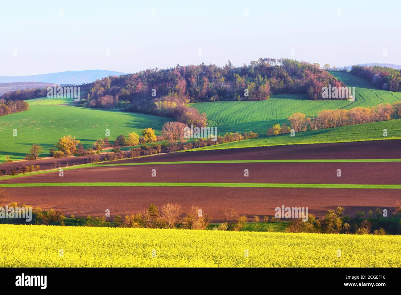 South moravia czech flower hi-res stock photography and images - Alamy